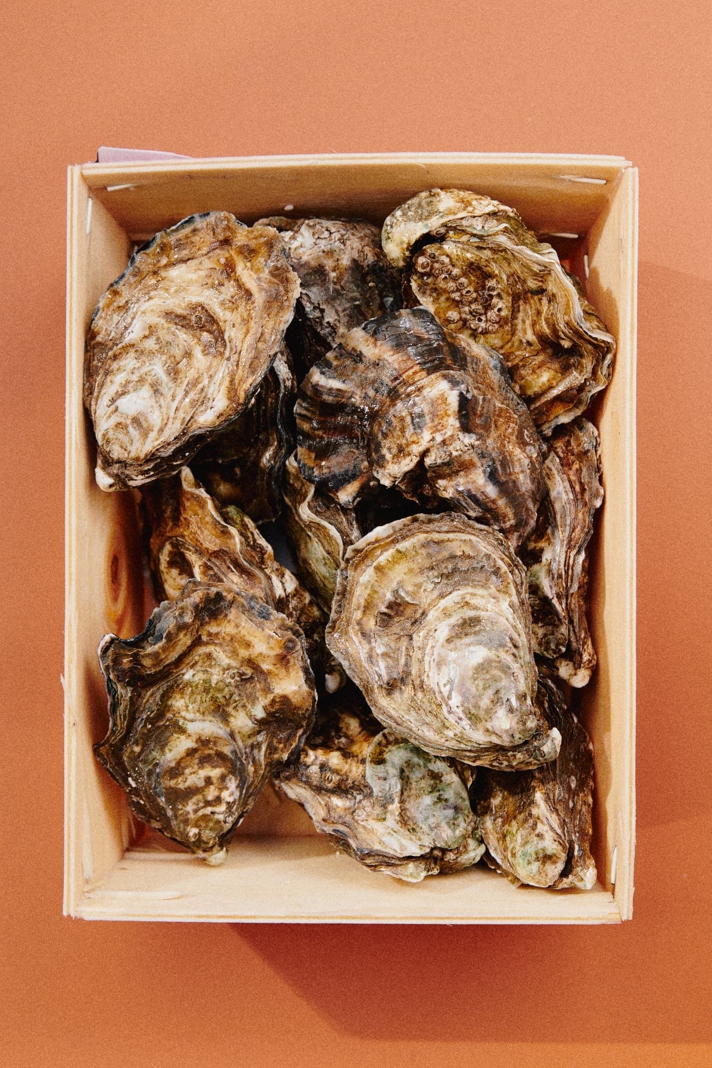 ALMA | Restaurace, kavárna a cocktail bar